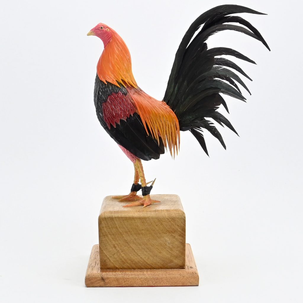 Gallo en miniatura (Piquero ajiseco amarillo) – Martinkullu